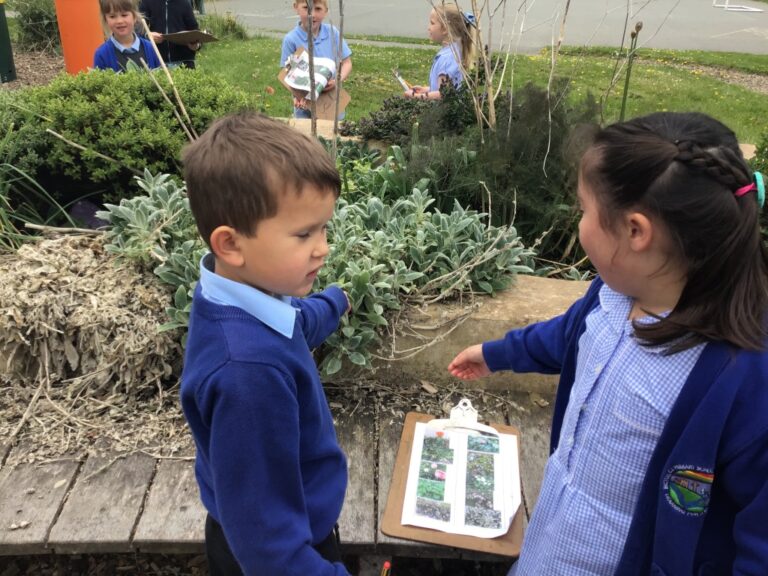 Plant detectives – Bicton Primary School & Nursery